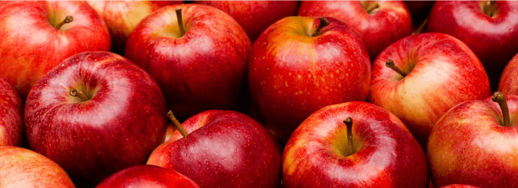 Best Foods to Keep Your Colon Clean - Stop Colon Cancer Now